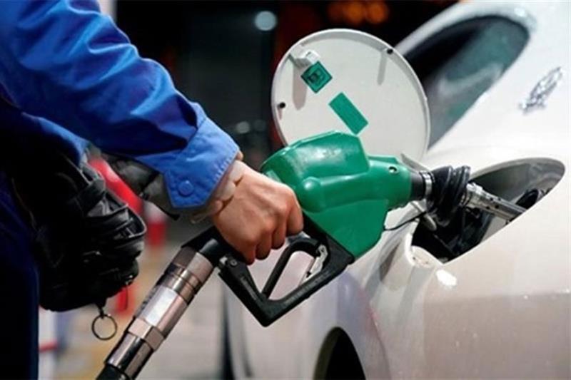 Petroapp Companies - PetroApp Egypt